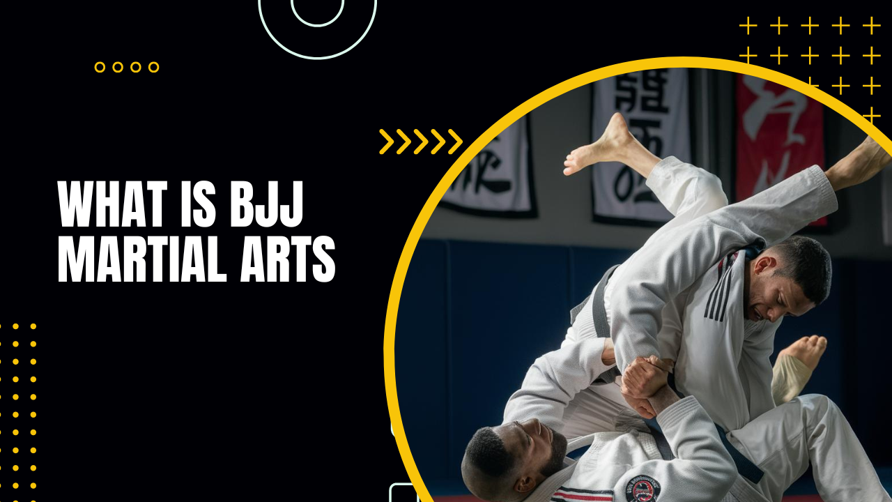 What Is Bjj Martial Arts