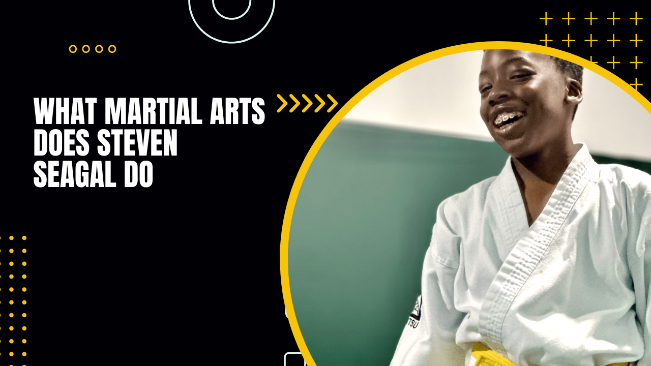 What Martial Arts Does Steven Seagal Do?