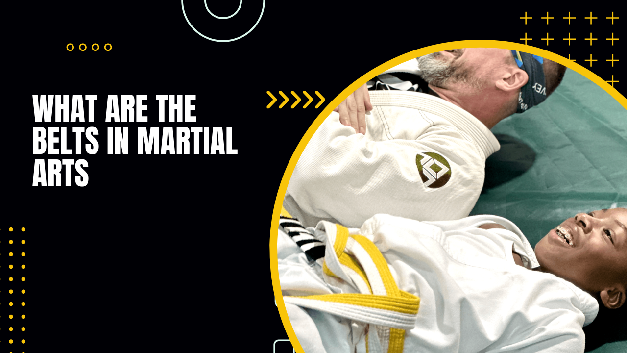 What Are the Belts in Martial Arts?
