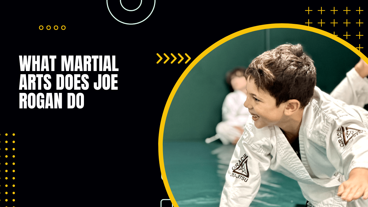 What Martial Arts Does Joe Rogan Do?